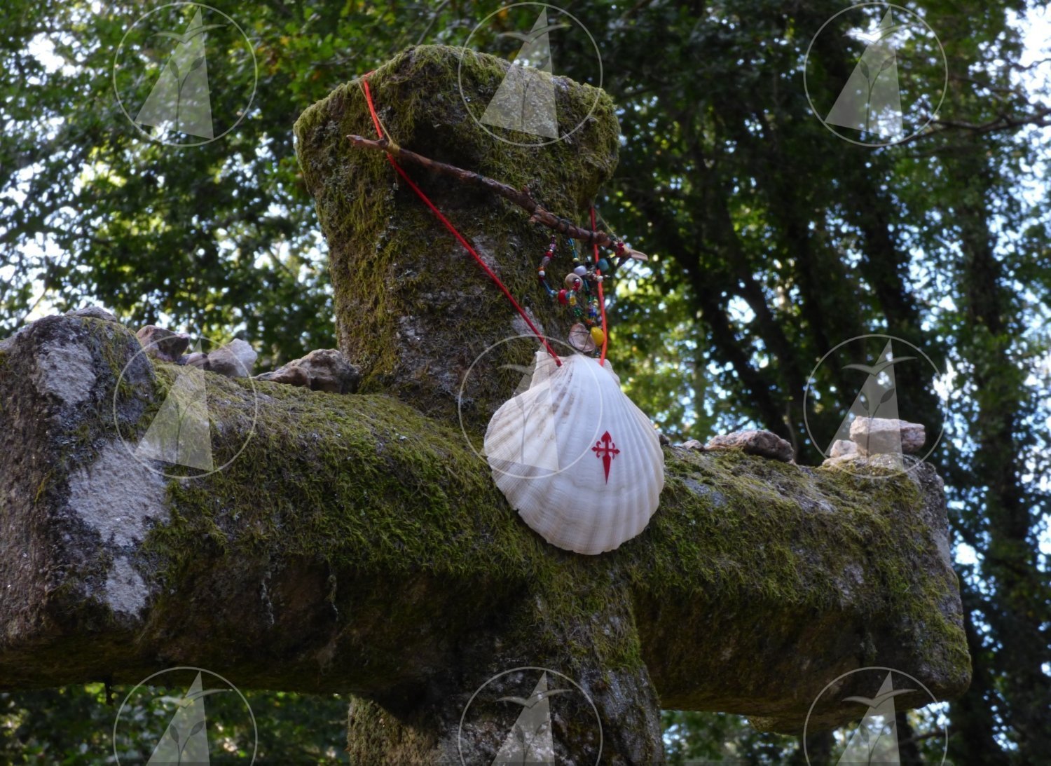 Ruta Jacobea Idente - Juventud Idente España